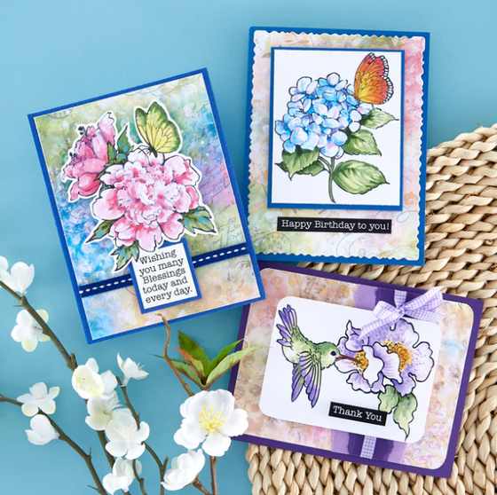 Valley Stamp and Scrap | Neenah WI | Stamping and Art Supply